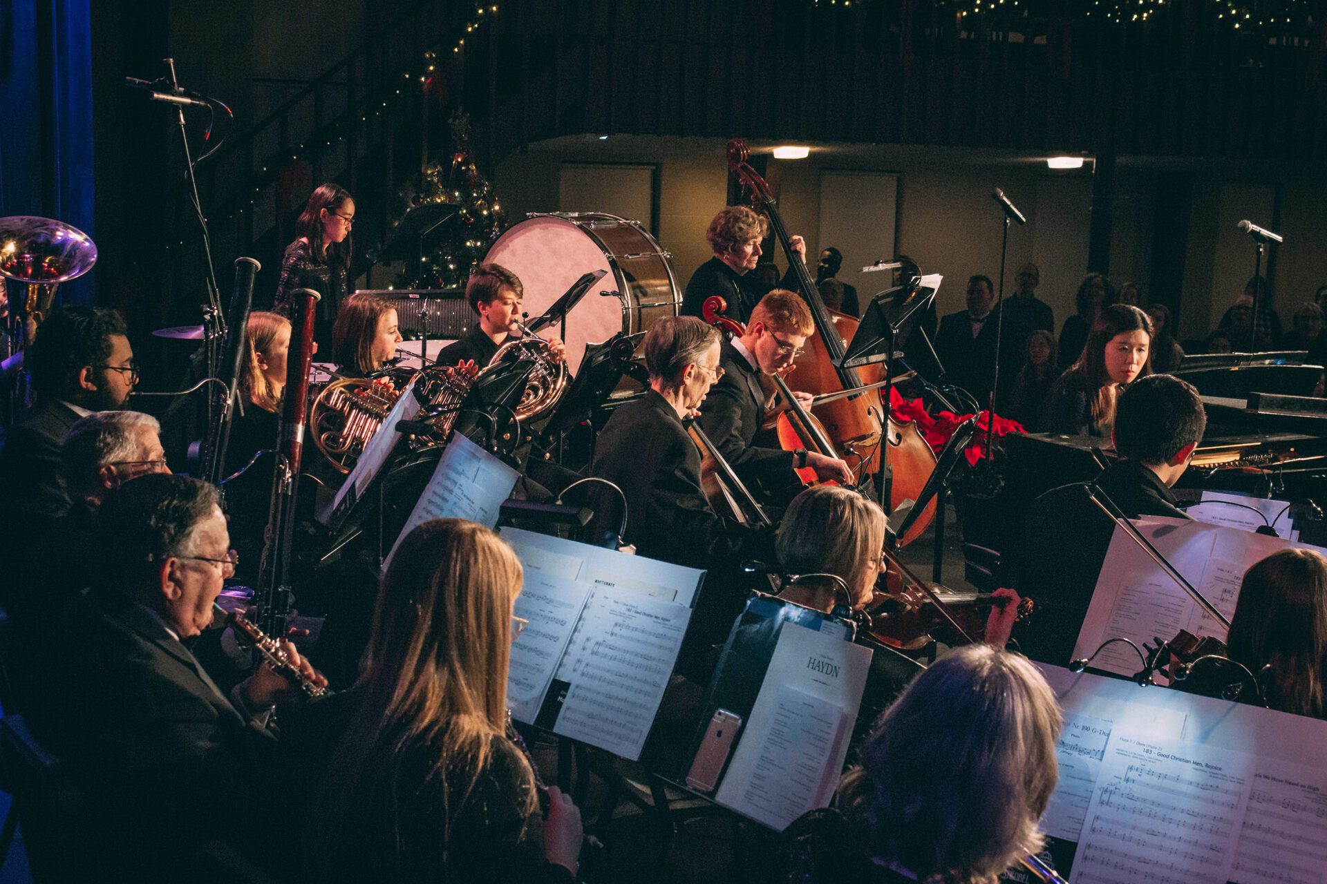 Civic Orchestra Concert This Sunday and Other Events – Campus News ...