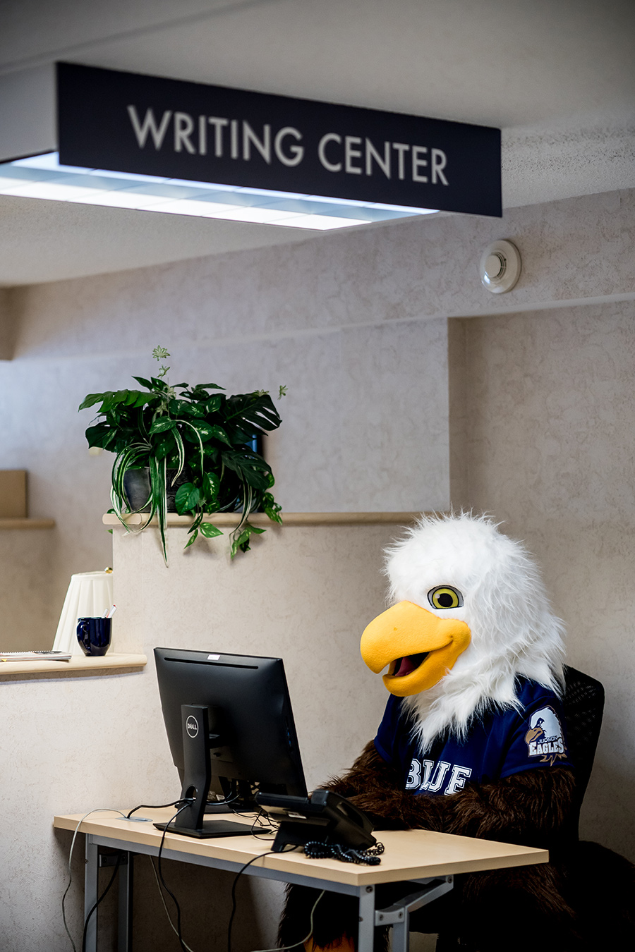 Writing Center Evening Library Hours – Campus News | Judson University